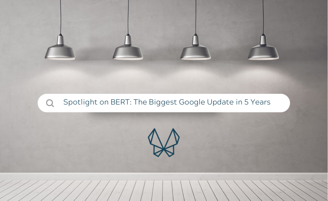 Spotlight on BERT - The Biggest Google Update in 5 Years • Digifly Social